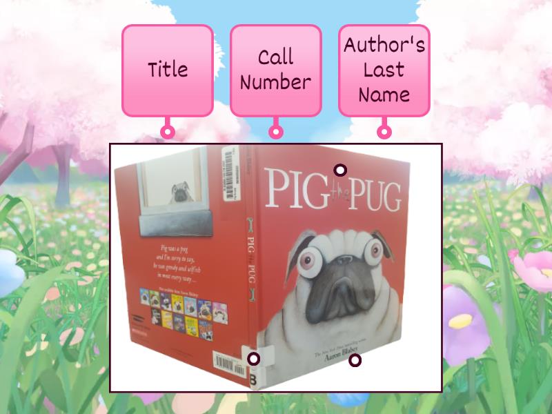 Easy Book Call Number Label Diagram - Labelled diagram