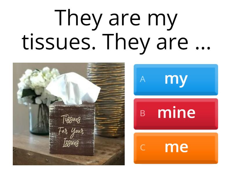 A1 My or mine - Possessive adjectives and pronouns - Quiz