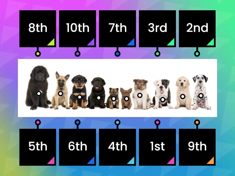 Ordinal Numbers 1st-10th PDM - Labelled diagram