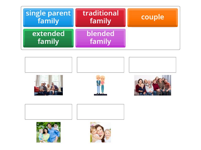 Types of Family - Match up