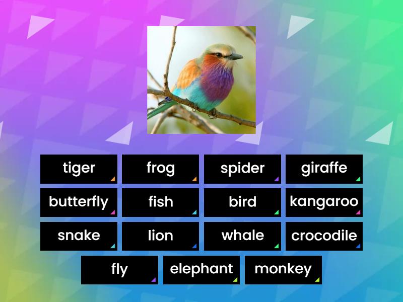 Go Getter 1 Unit 7.1. - Find the match