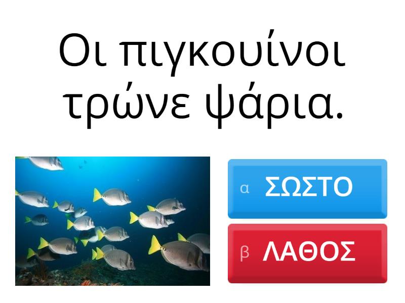 Πιγκουίνοι..Ένας πιγκουίνος όχι και τόσο τέλειος! - Quiz