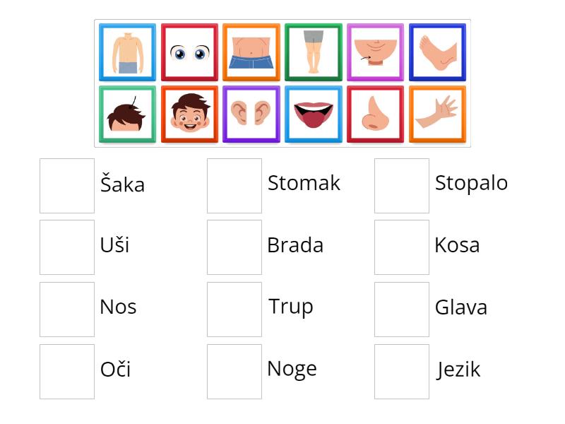 Delovi tela - Match up