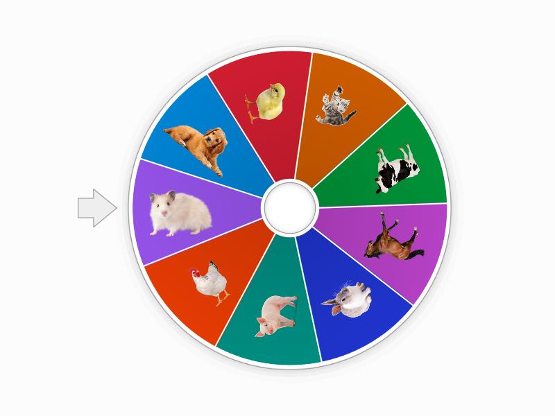 Ruleta animales domesticos - Spin the wheel
