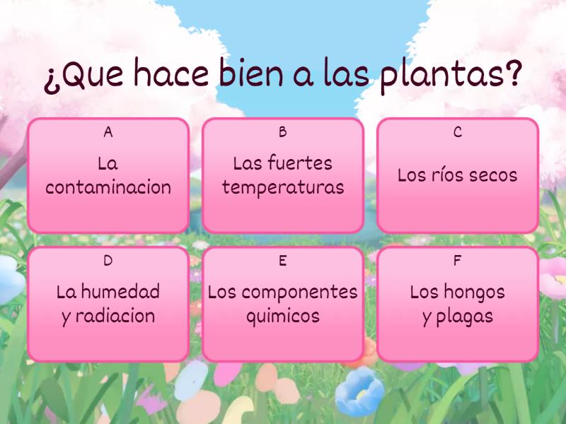 cuestionario de plantas 7c - Quiz