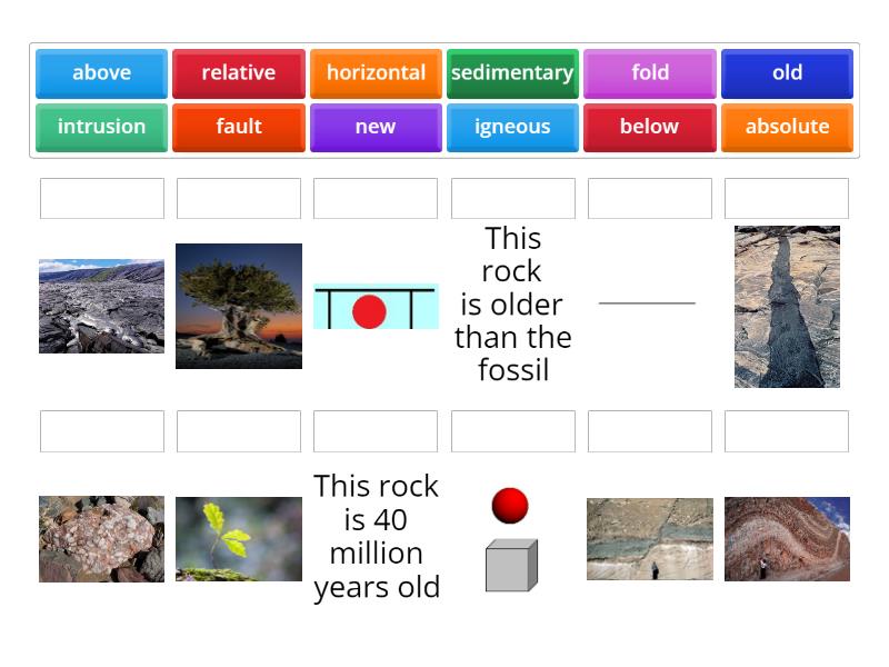 Relative Age Vocabulary - Match up