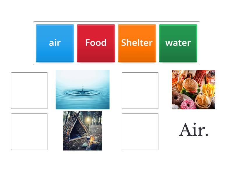 what do animals need? - Match up