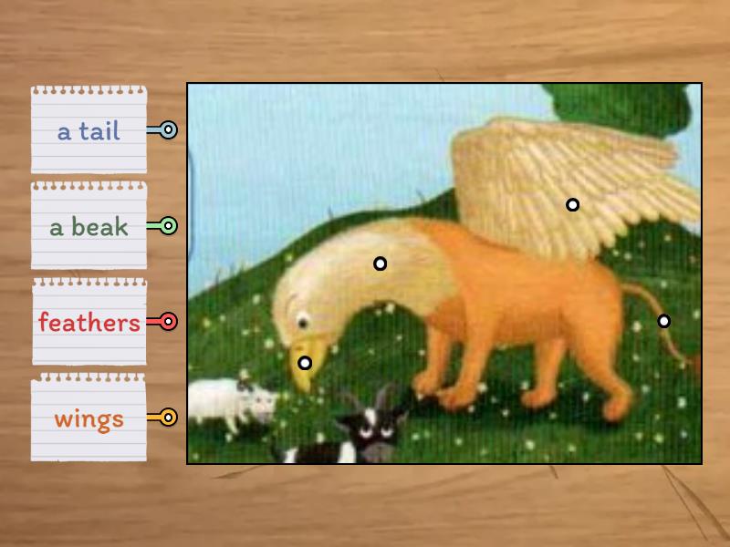 THE GRIFFIN - BODY PARTS - Labelled diagram