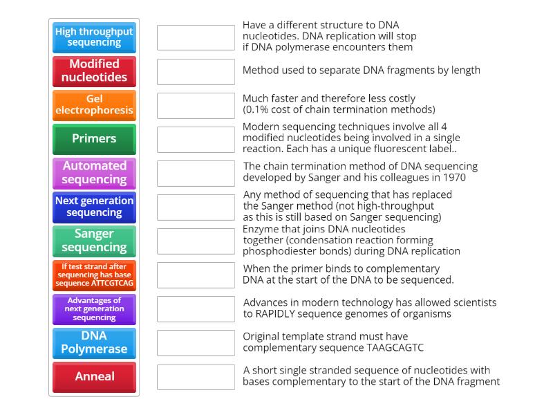 DNA Sequencing - Match up