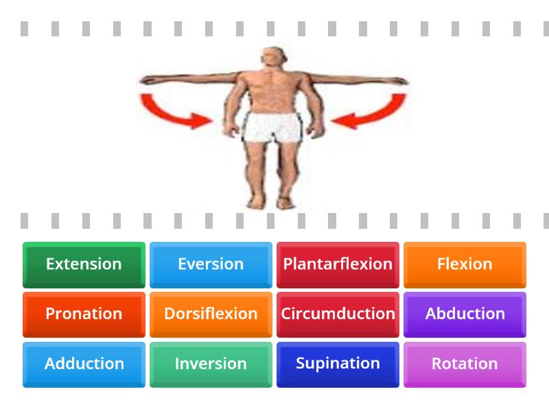 Movement Types - Find the match