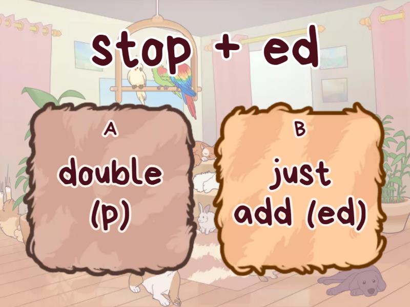 Double or NOT? - Quiz