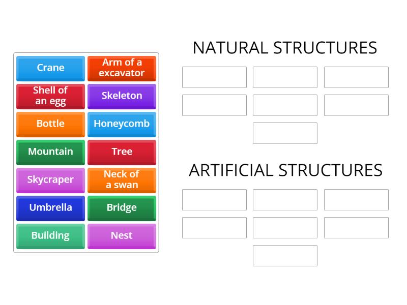 NATURAL AND ARTIFICIAL STRUCTURES - Group sort