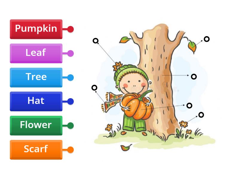 Find the elements of the image - KIDS - Labelled diagram