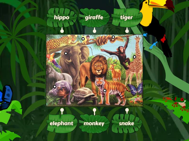 kb1 unit 7 wild animals - Labelled diagram
