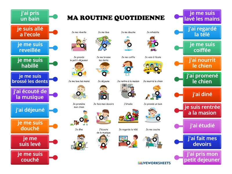 Ma routine - Les verbes (pronominaux) au passé composé - Labelled diagram