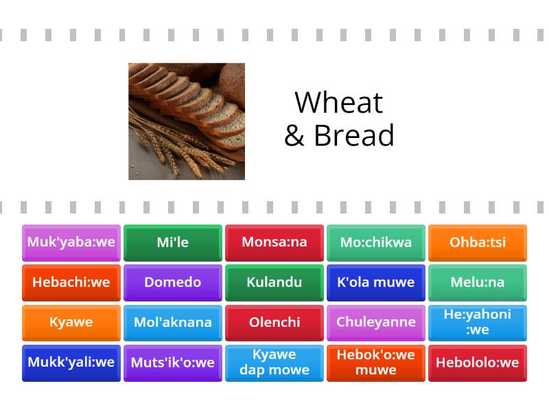A:Shiwi A:wan Ido:we (Zuni Food) - Find the match
