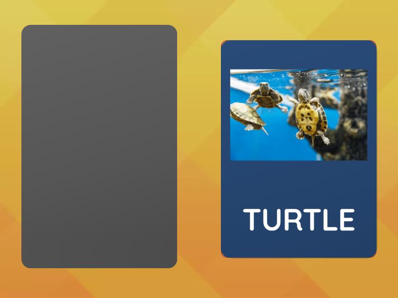 PETS - Speaking cards