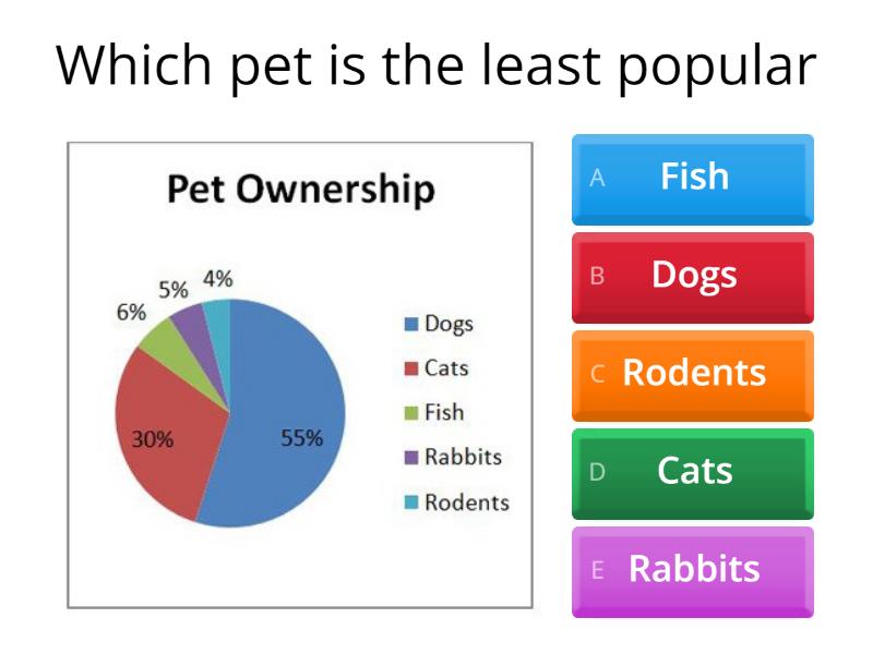 Pie Chart - Quiz