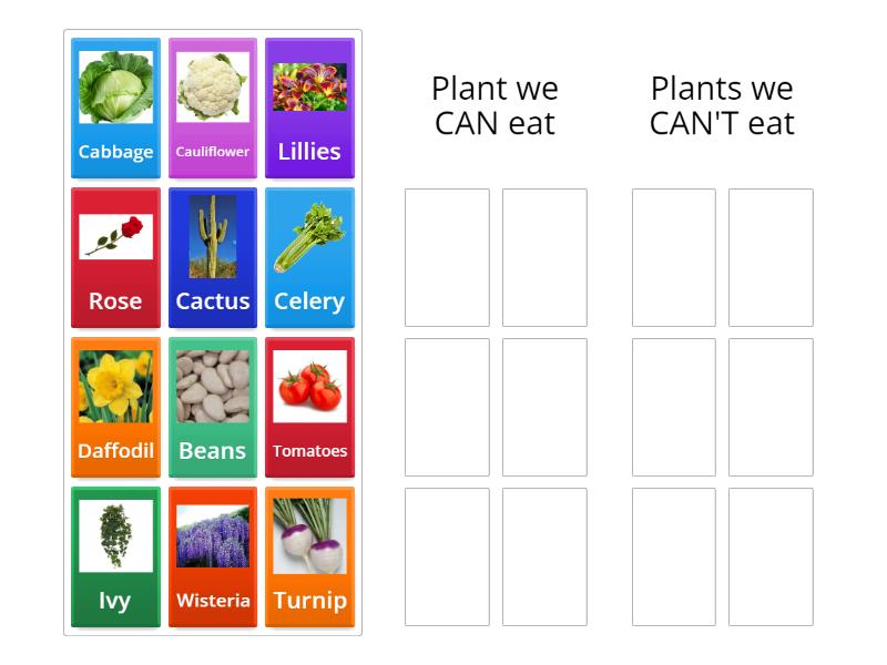 Plants we can or can't eat - Групповая сортировка