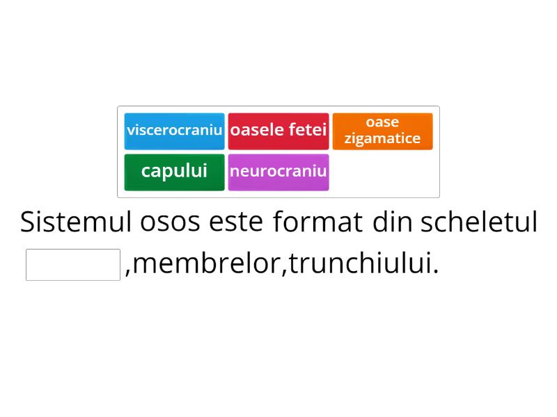 Sistemul osos ....cuvinte lipsa - Palabra perdida