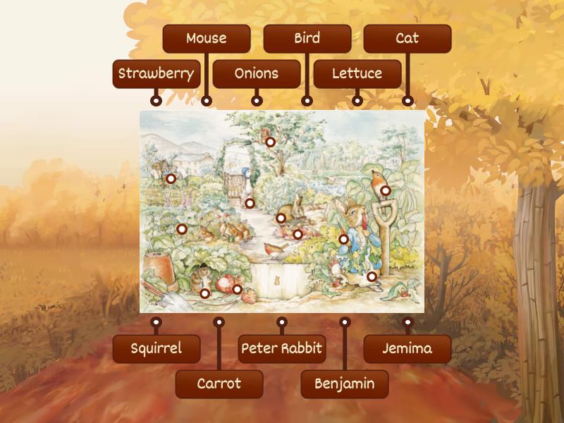 Peter Rabbit 1 - Labelled diagram