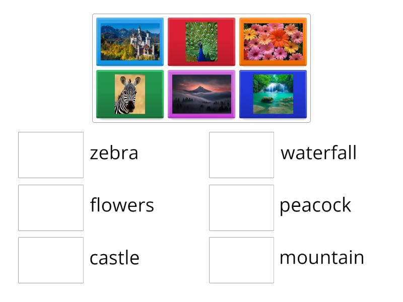 Match the word to the correct picture - Match up