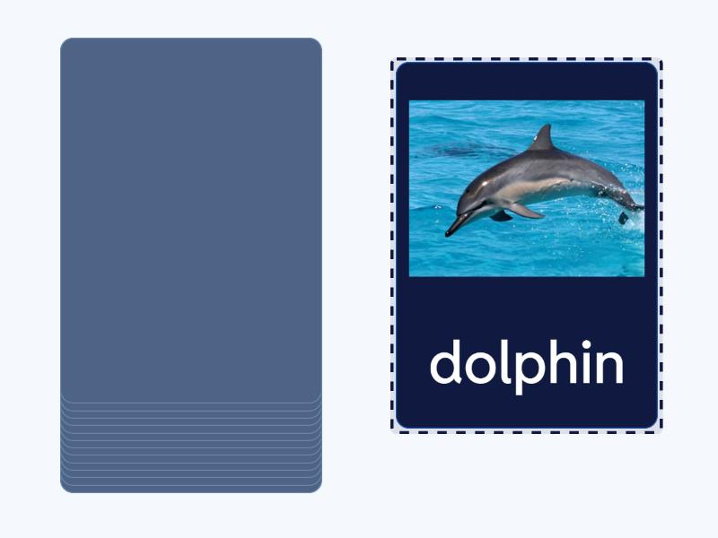 Spotlight 4 Module 4 Unit 7a Animals - Speaking cards