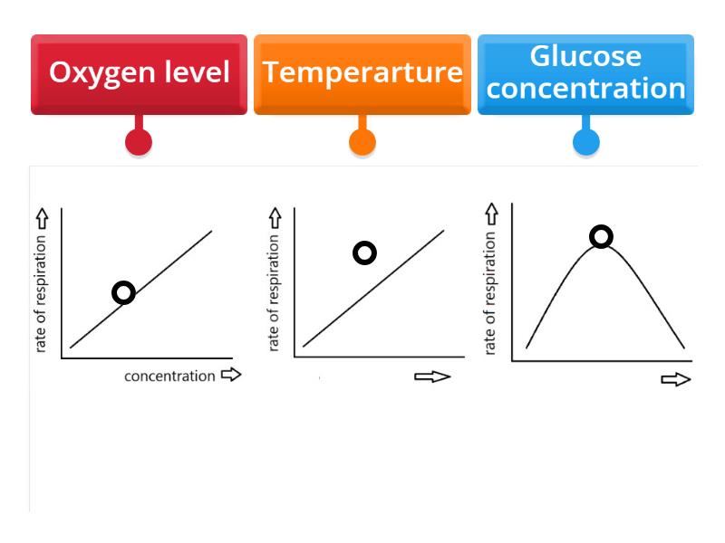 Match the factor affecting respiration to the graph - Labelled diagram