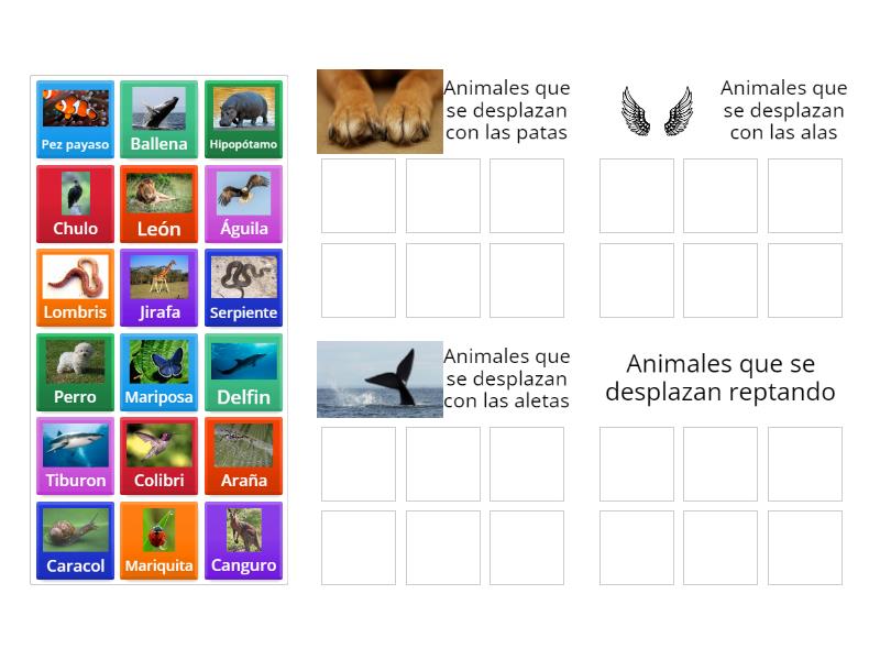 Desplazamiento de los animales - Group sort