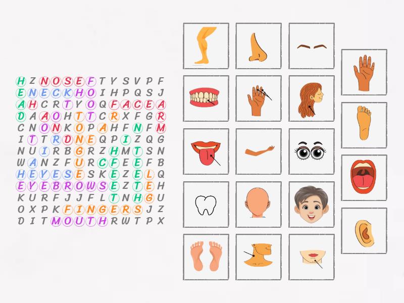body parts - Wordsearch
