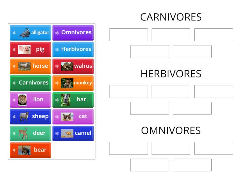 Carnivores, Herbivores and Omnivores - Group sort