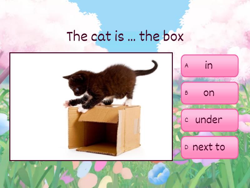 Prepositions of place: on, in, under, next to, in front of, behind ...