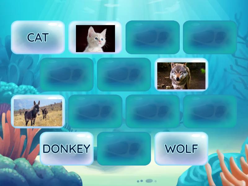 ANIMAL NAMES - Matching pairs