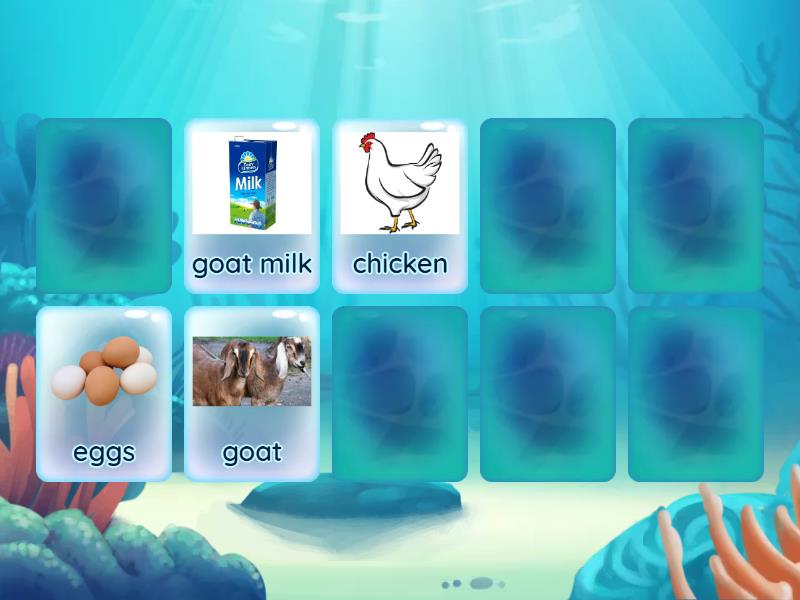 Grade 2 - Matching pairs