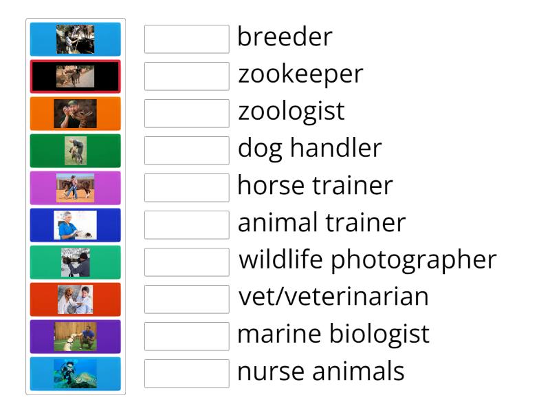 careers with animals - Match up