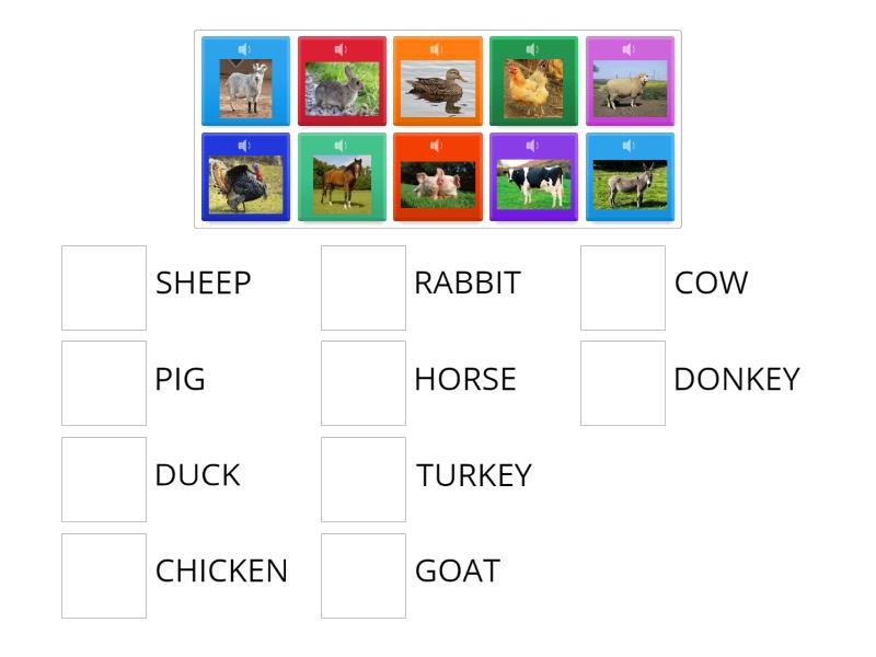 VOCABULARY: FARM ANIMALS - Match up
