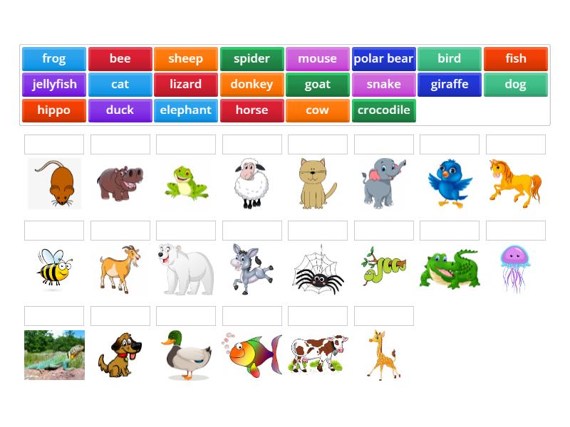 Animals Starters YLE Unit 1 - Match up