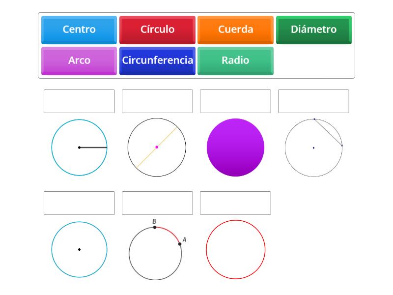 Elementos de la circunferencia - Match up