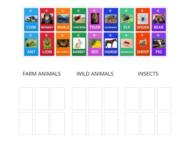 ANIMALS - Group sort