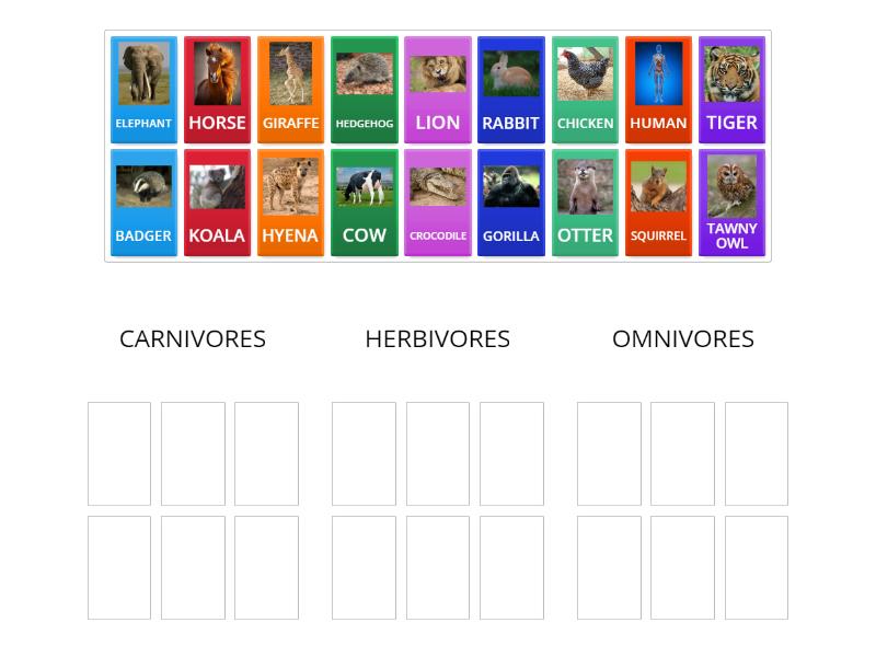 M2_Animals - carnivores / herbivores / omnivores - Group sort