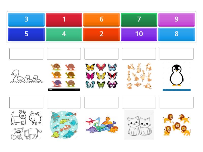 Números y animales - Match up