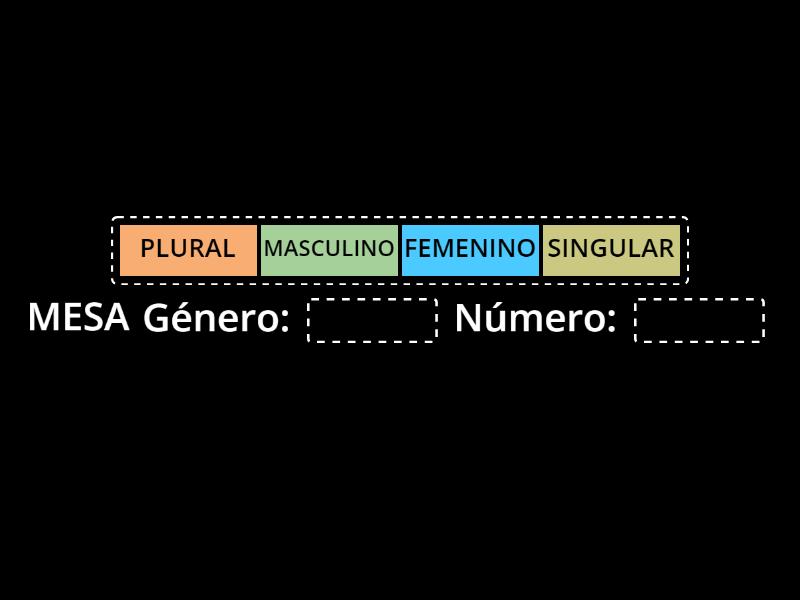 GENERO Y NUMERO (sustantivos) - Complete the sentence