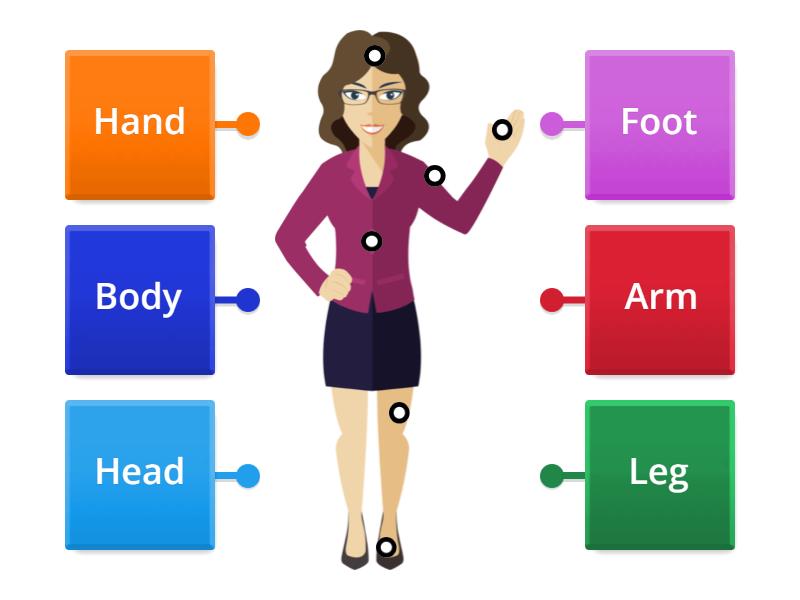 Our body - Labelled diagram