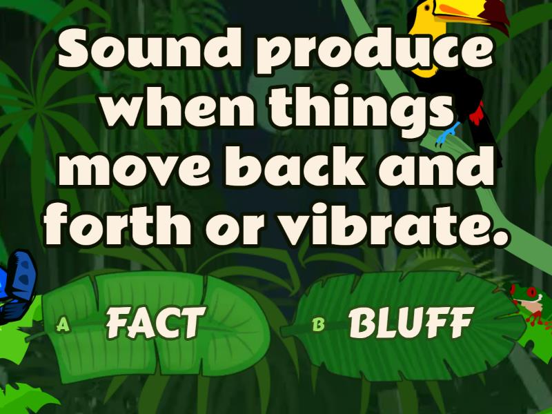 FACT or BLUFF Light and Sound - Quiz