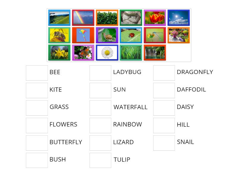 SPRING VOCABULARY - Match up