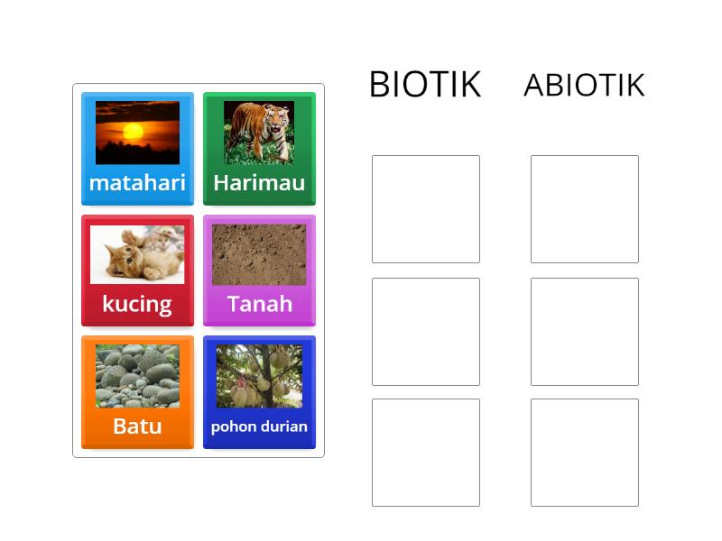 biotik dan abiotik - Group sort