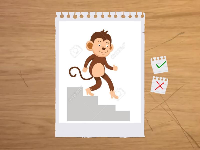 A pig for cliff - Flash cards