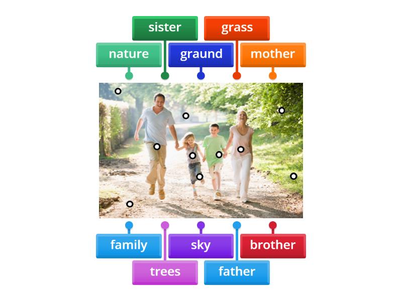 Family diagram - Labelled diagram