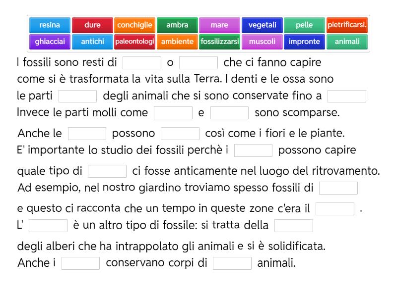 I fossili - Complete the sentence