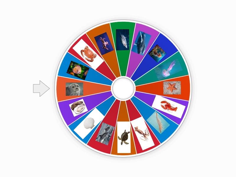 Spinning wheel - sea animals - MEIE - Spin the wheel